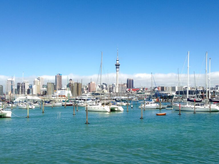 15 BEST Auckland Tours to Book in 2025