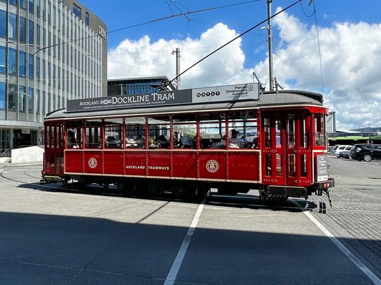 31 Fun Activities for Kids in Auckland