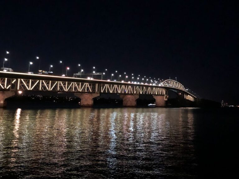 33 Exciting Things to Do in Auckland at Night