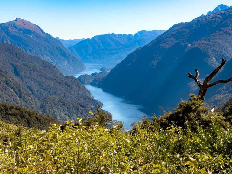 Milford Sound vs Doubtful Sound: Which is Better?