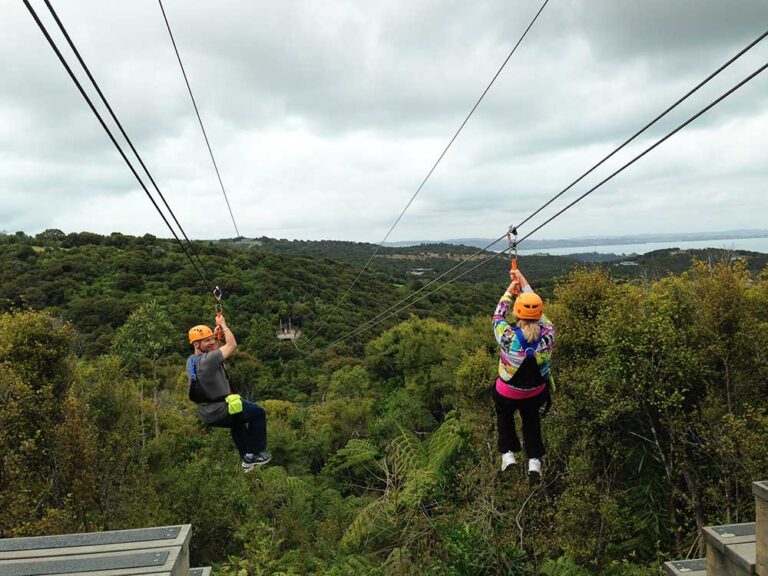 12 Best Places to Go Ziplining in New Zealand