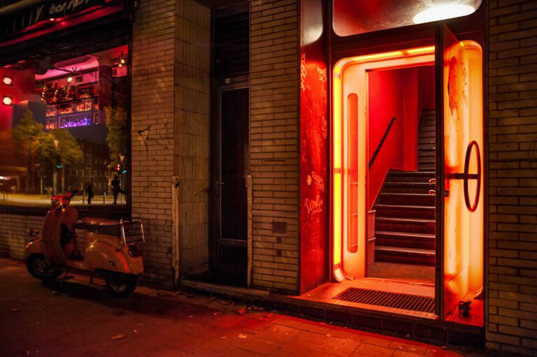 45 Fun Things to Do in Auckland: An Insider's Guide
