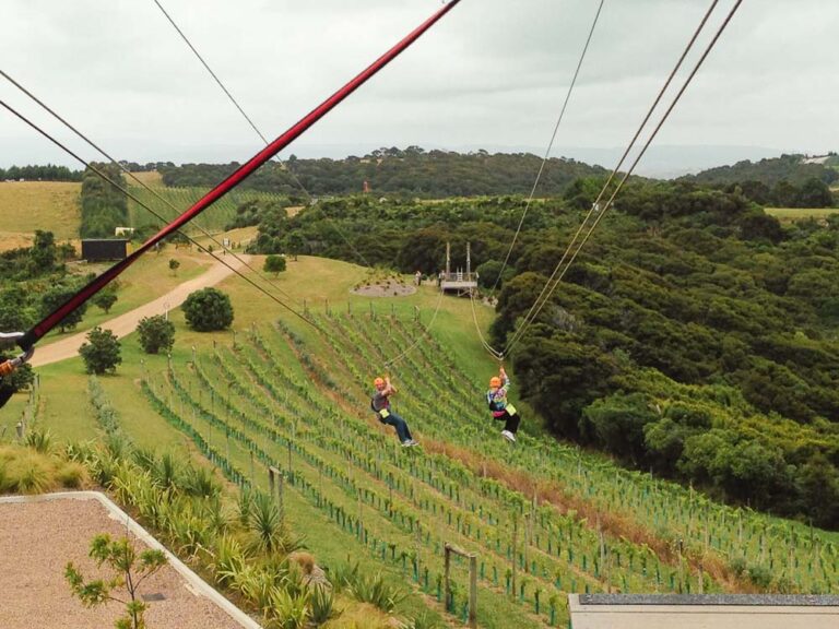 31 Fun Activities for Kids in Auckland