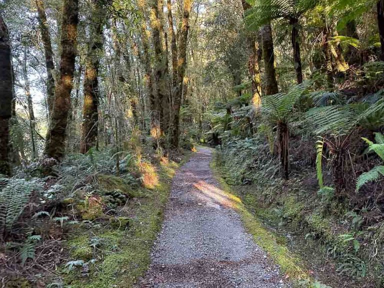 15 Must-Do Walks in Te Anau From Easy to Advanced