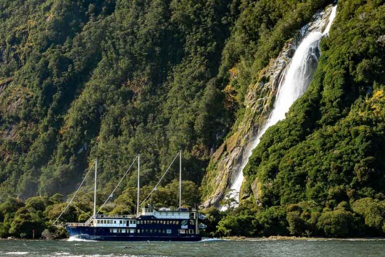 20 Fun Things to Do in Milford Sound + Visitors Guide