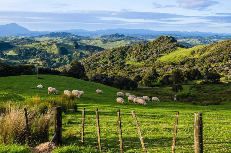 12 Most Charming Small Towns in New Zealand