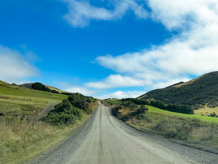 25 New Zealand Slang Words & Phrases You Need to Know